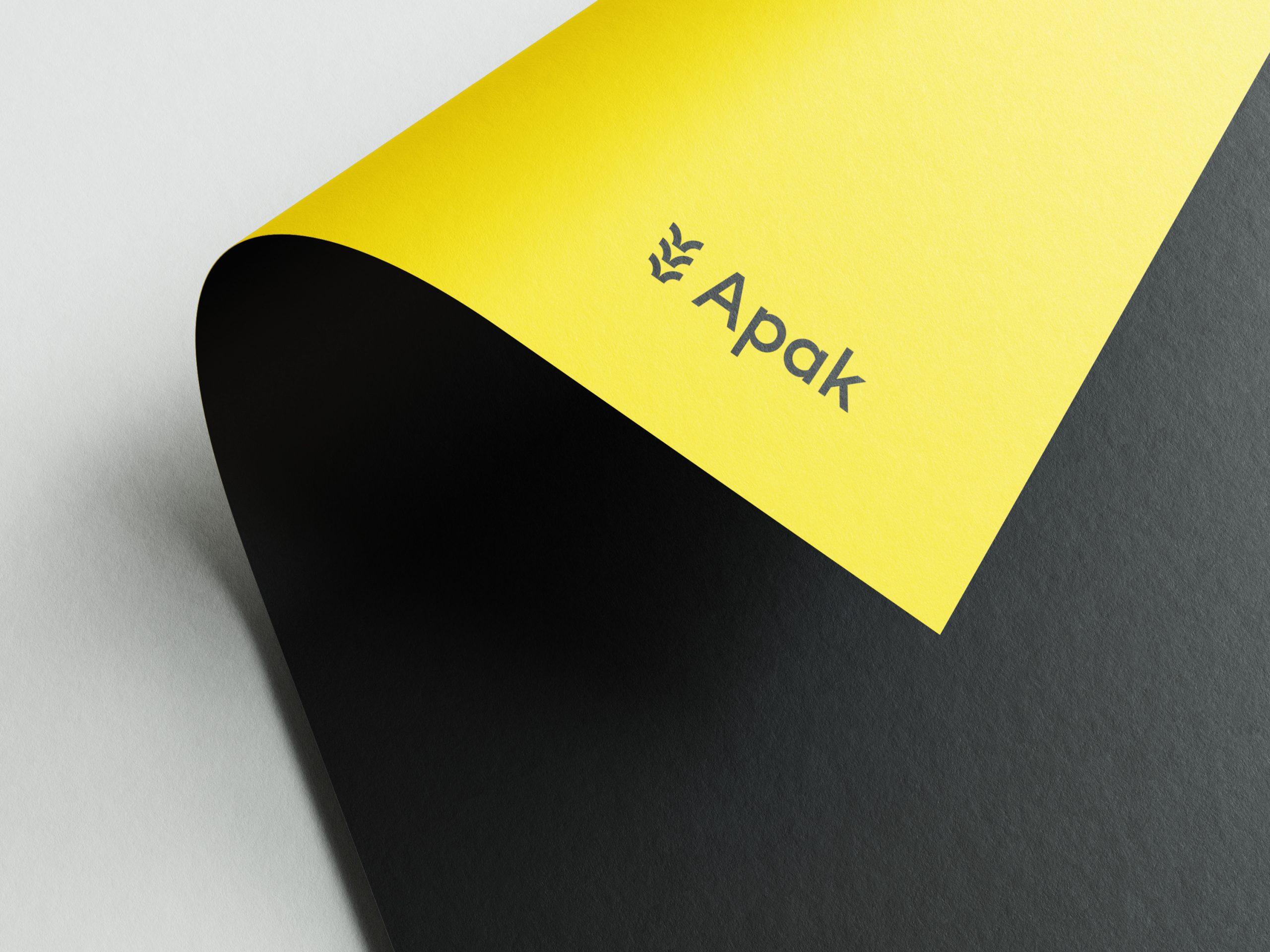 Producent materiałów papierniczych - APAK